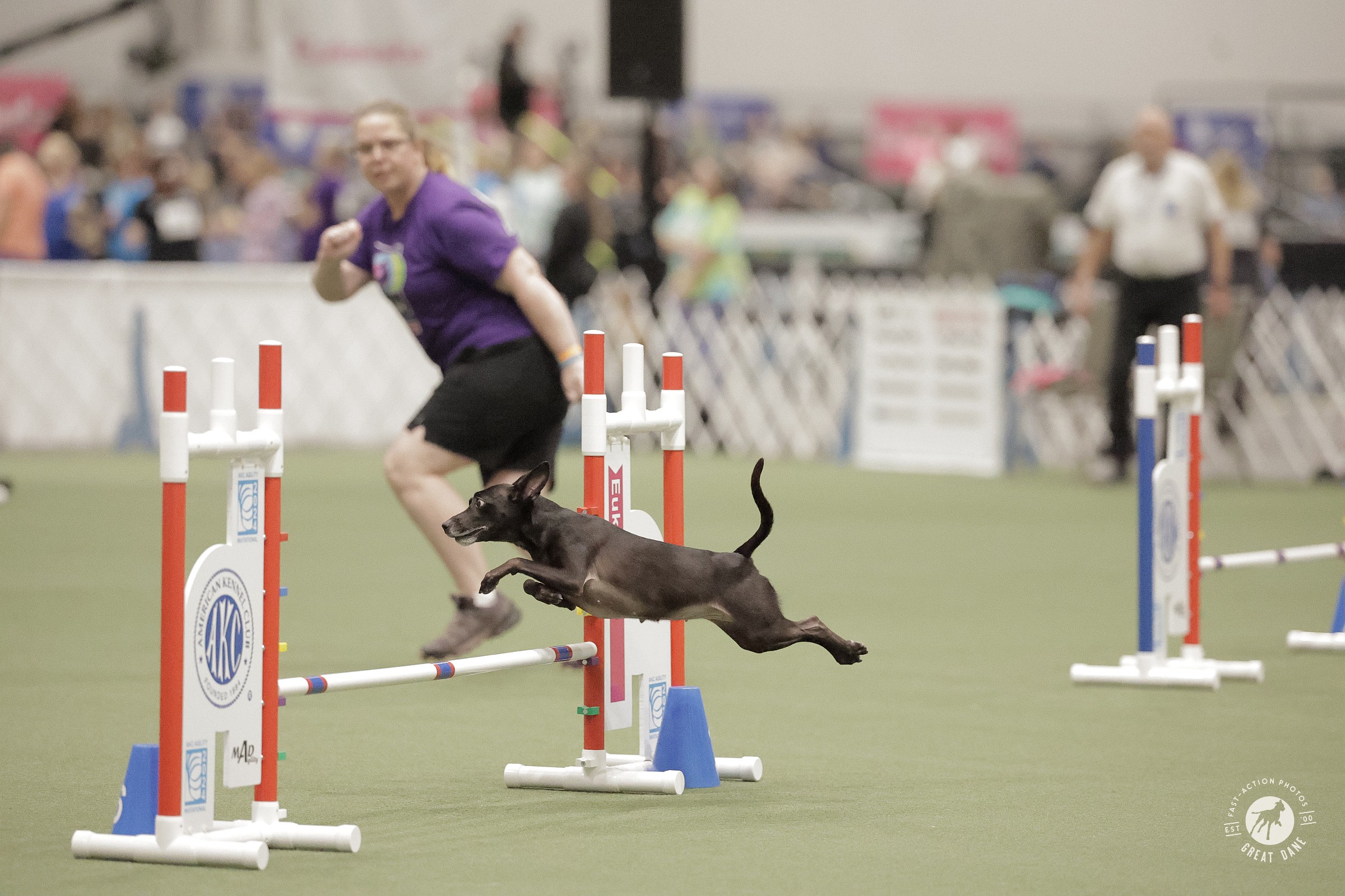 Bell Creek Agility & Obedience, LLC | Alaska Dog Training & Care